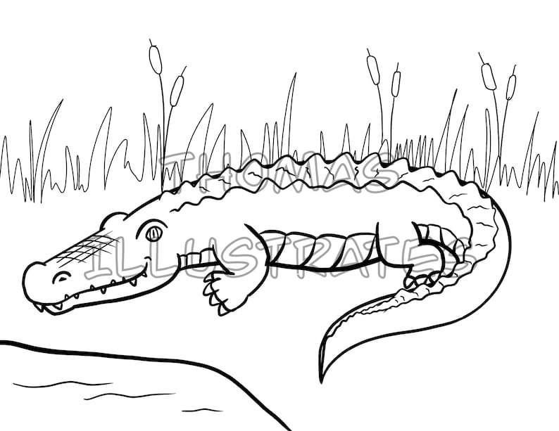 Reptile Coloring Pages, Kids Coloring Pages, Fun Coloring Pages ...