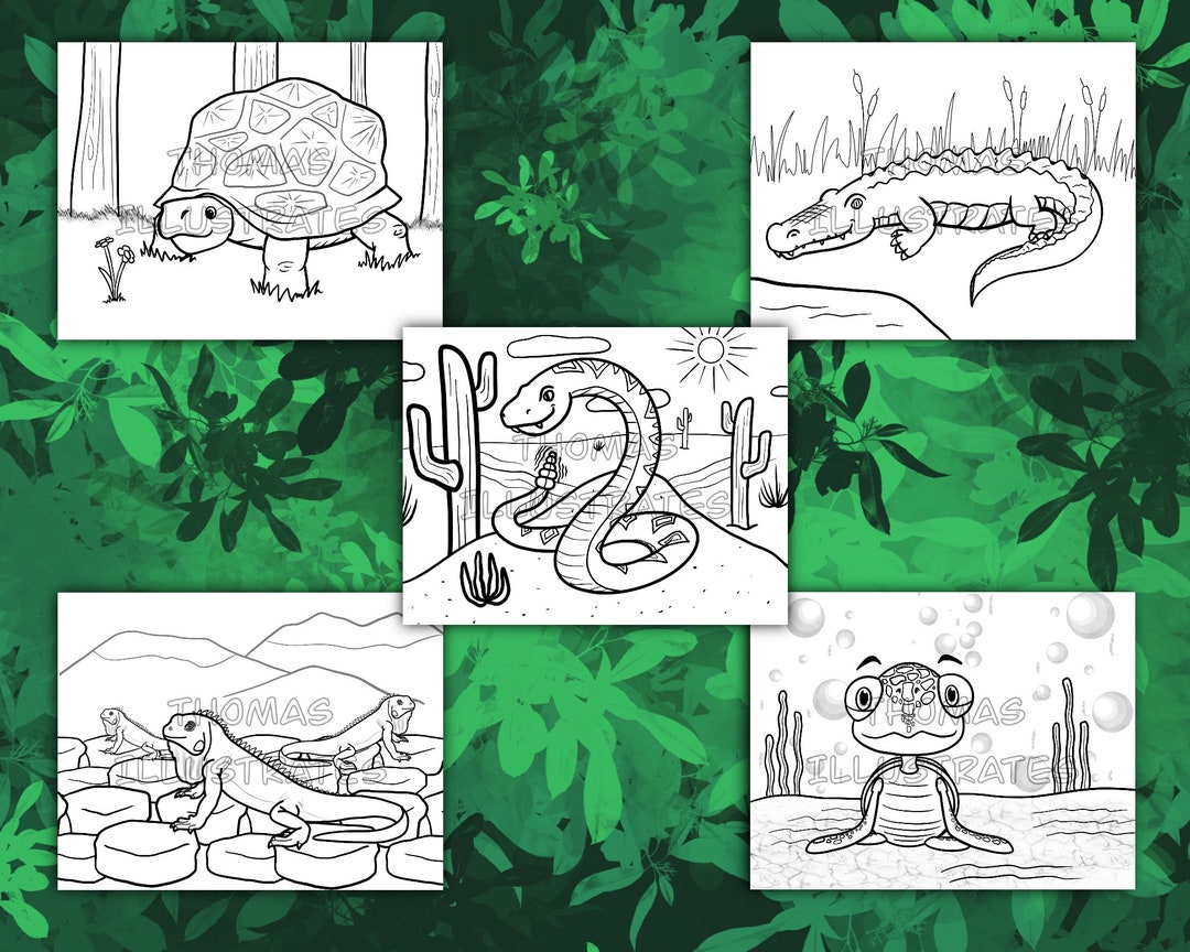 Reptile Coloring Pages, Kids Coloring Pages, Fun Coloring Pages ...