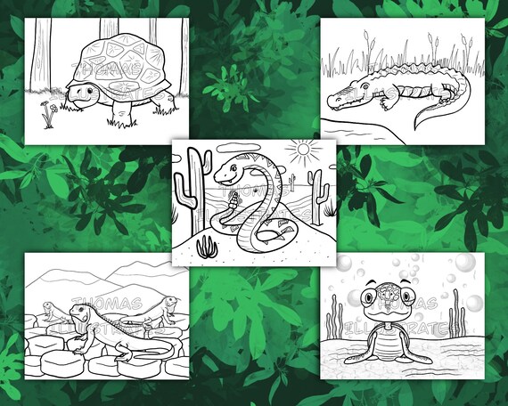 Reptile Coloring Pages Kids Coloring Pages Fun Coloring - Etsy