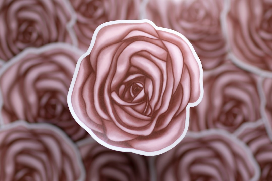 Rose Sticker | Flower Vinyl Sticker - Etsy