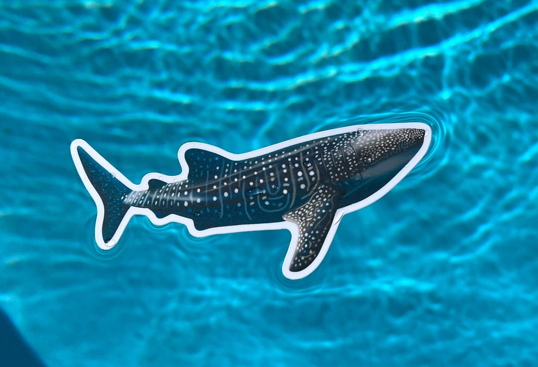 Whale Shark Sticker | Wild Animal Vinyl Sticker - Etsy
