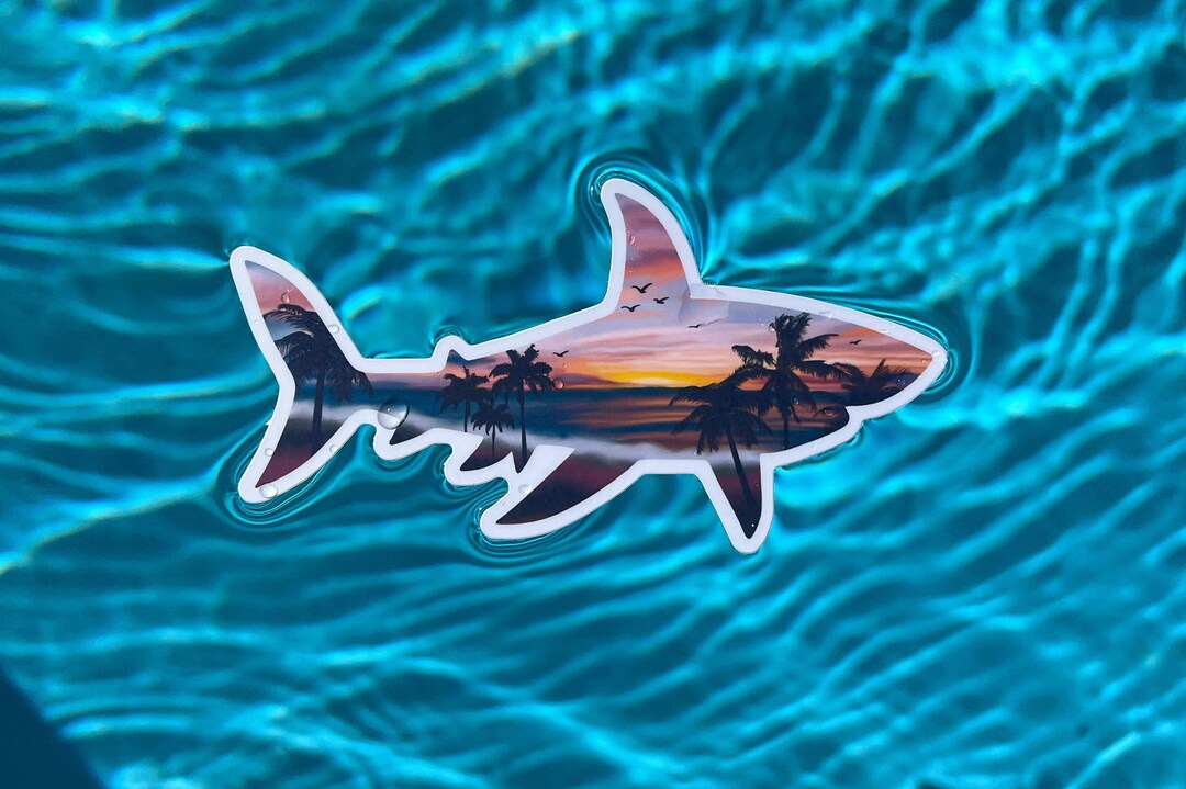 Beach Shark Sticker | Wild Animal Vinyl Sticker - Etsy