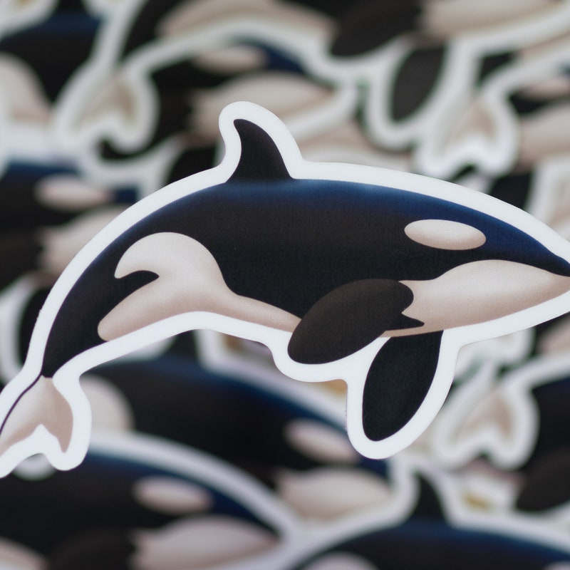 Whale Sticker - Etsy
