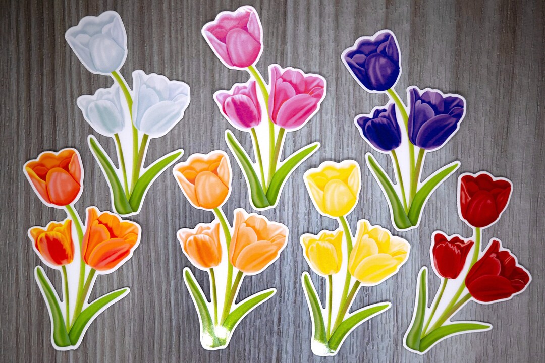 Tulip Sticker | Flower Vinyl Sticker | 7 Color Options - Etsy