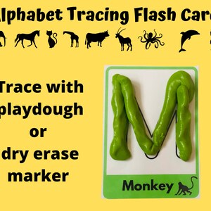 Alphabet Tracing Flash Cards, Animal Themed Flash Cards, Preschool ...