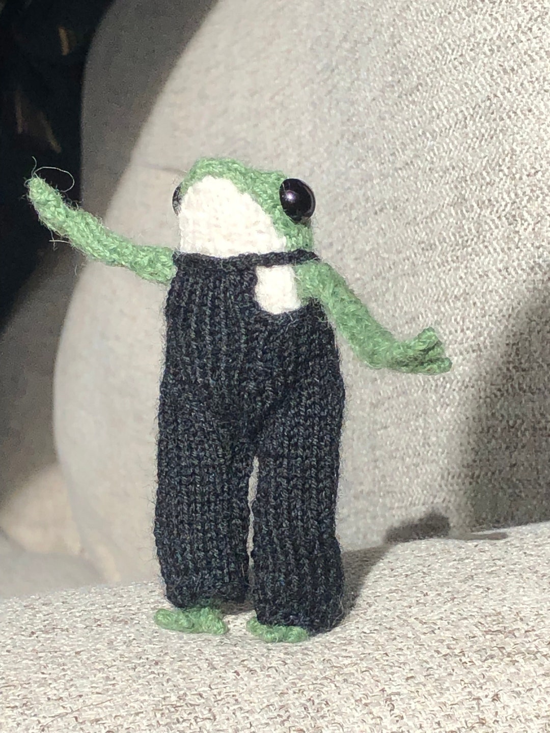 Froggy OVERALLS, Frog and Toad, Birthday Frog, Frog Lover Gifts ...