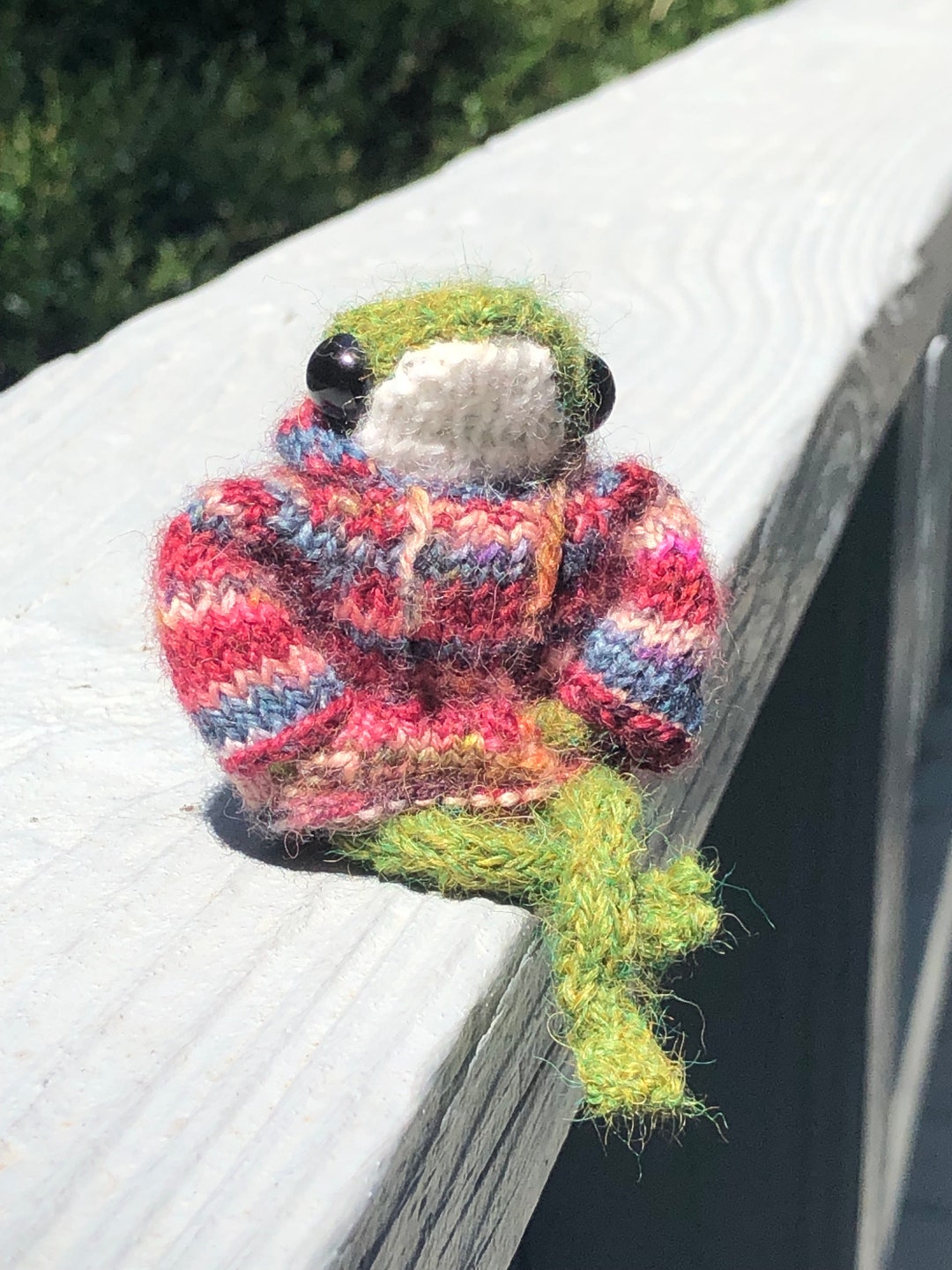 Froggy's MULTI-COLOR HOODIE Frog Lover Gifts Knitted - Etsy