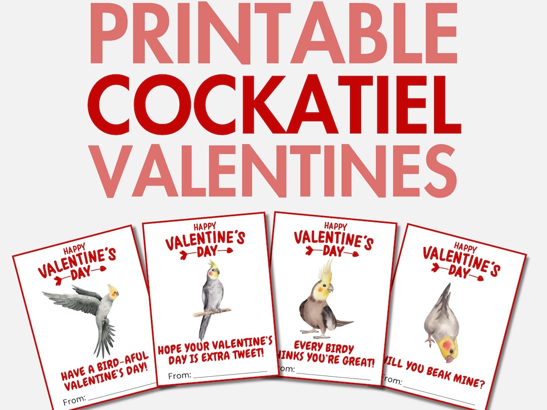 Printable Cockatiel Valentines | Pet Cockatiel Valentine Cards for ...