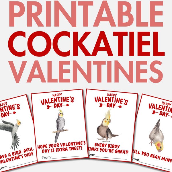 Cockatiel - Etsy
