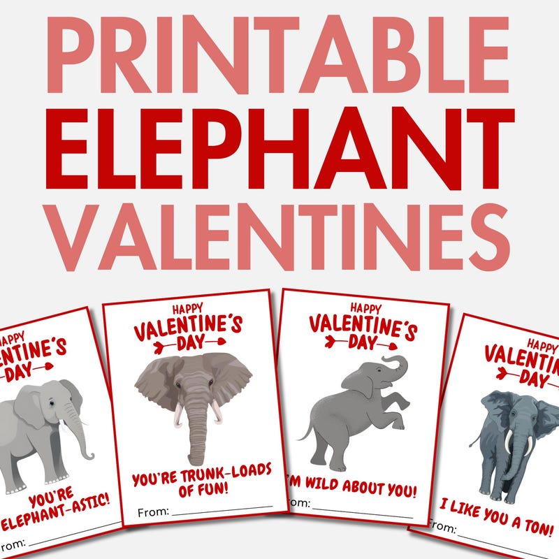 Elephant Cards - Etsy