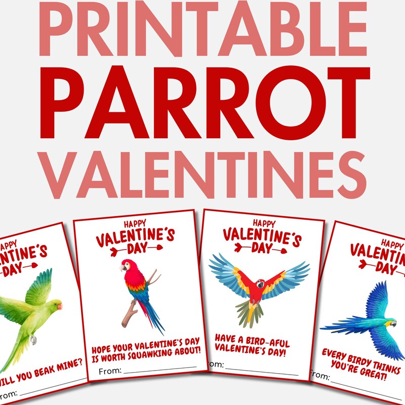 Parrots Note Cards - Etsy