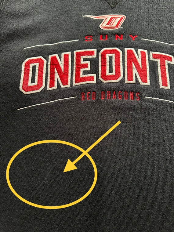 Vintage 90s Sportswear Suny Oneonta Red Dragons State… - Gem