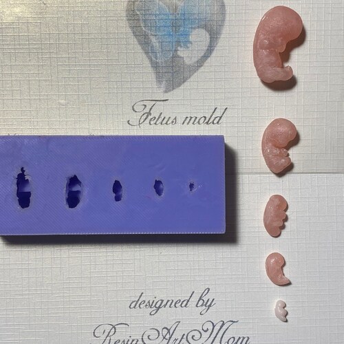 Swan 3D Silicone Mold Shiny Mould for Resin and Concrete | Etsy