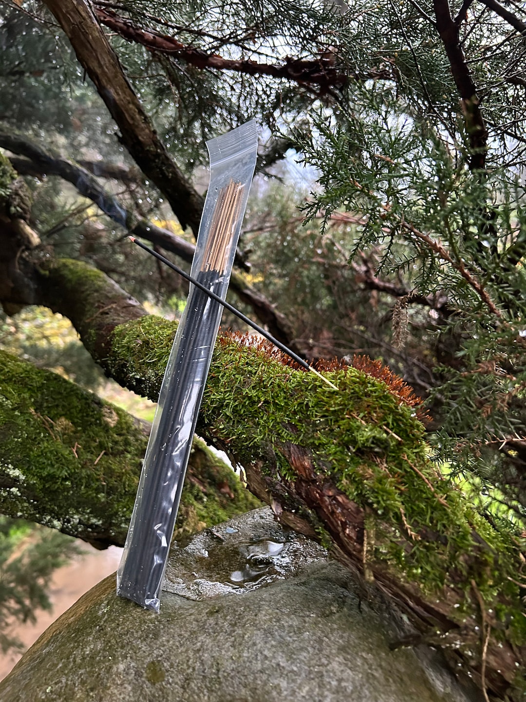 Sandalwood Vanilla 10-11 Inch Hand Dipped Incense Sticks (25 / 50 / 100 ...