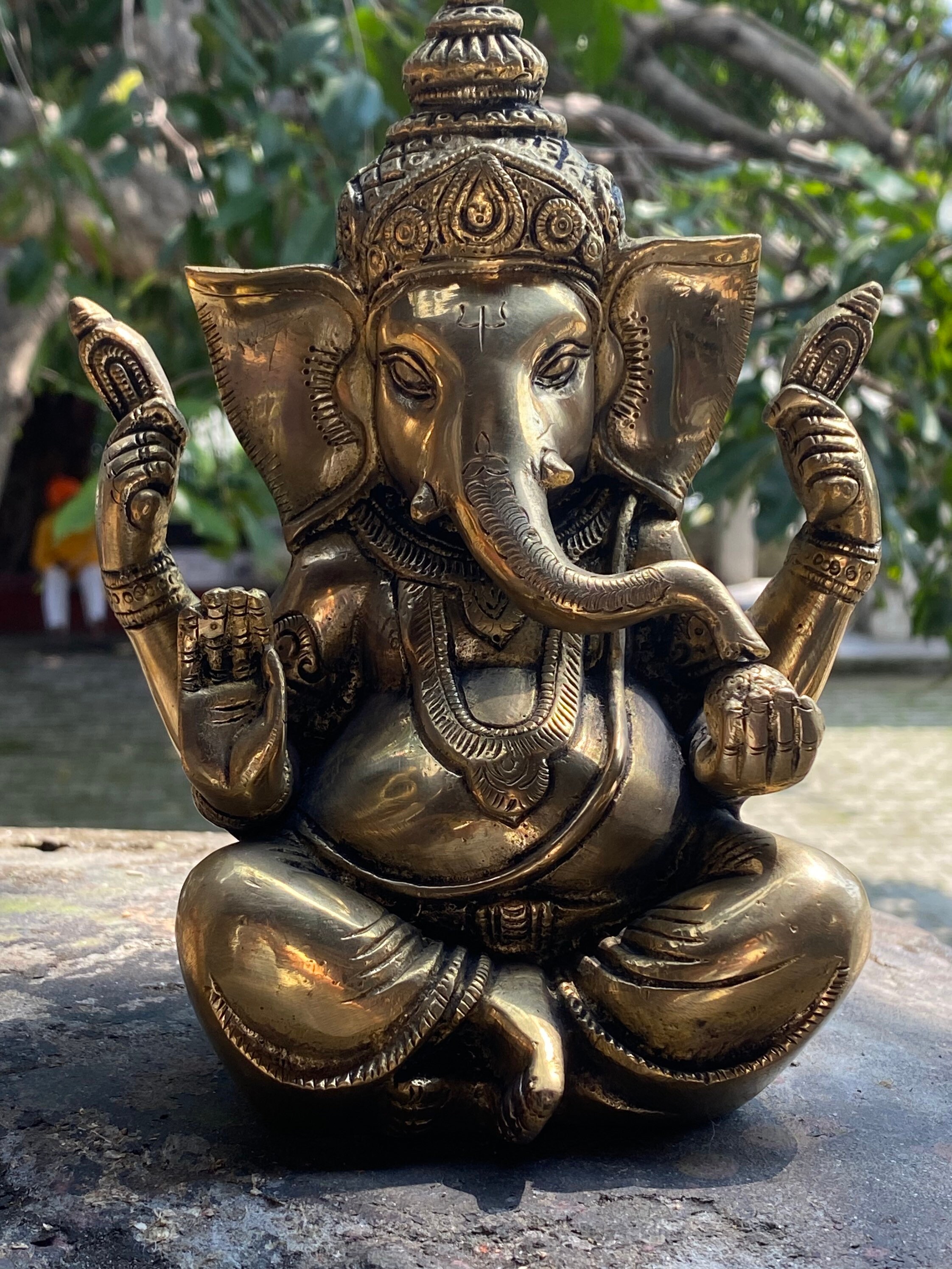 Ganesh Ganesh Elephant Man