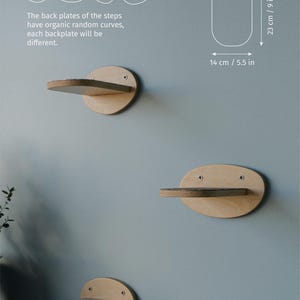 Stylish Hexagonal Cat Wall Furniture: Modular Design With Organic ...