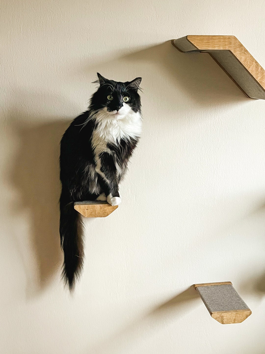 Climbing Cat Wall Furniture, Cat Wall Shelves, Perfect Cat Gifts - Etsy
