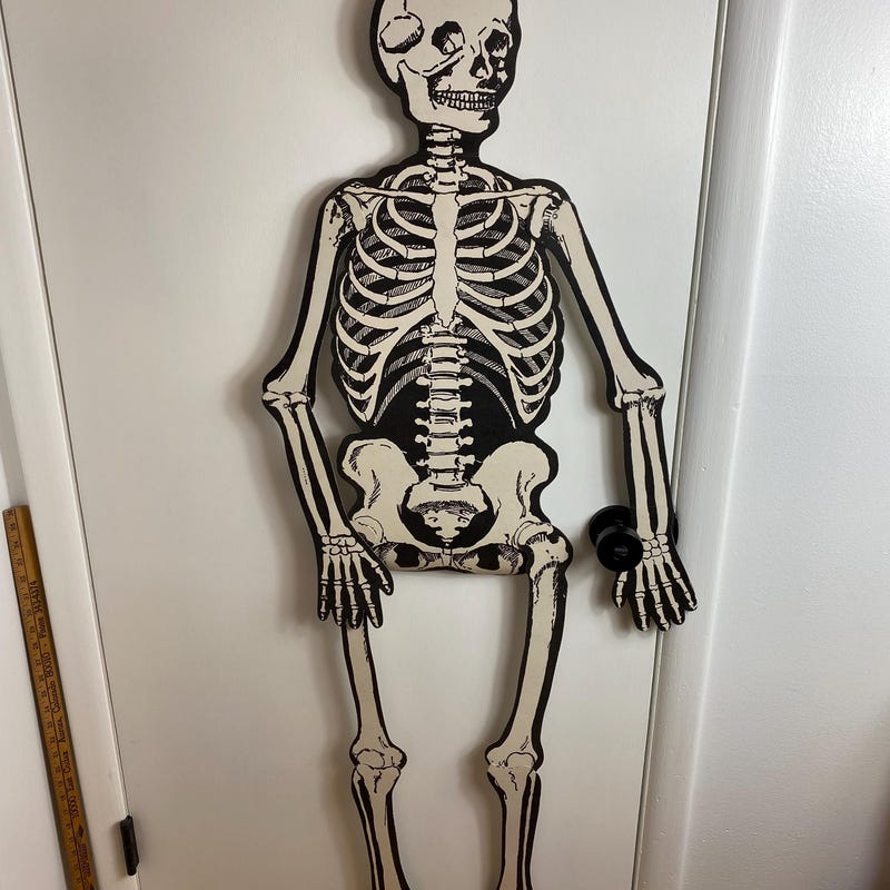 Skeleton Vintage - Etsy