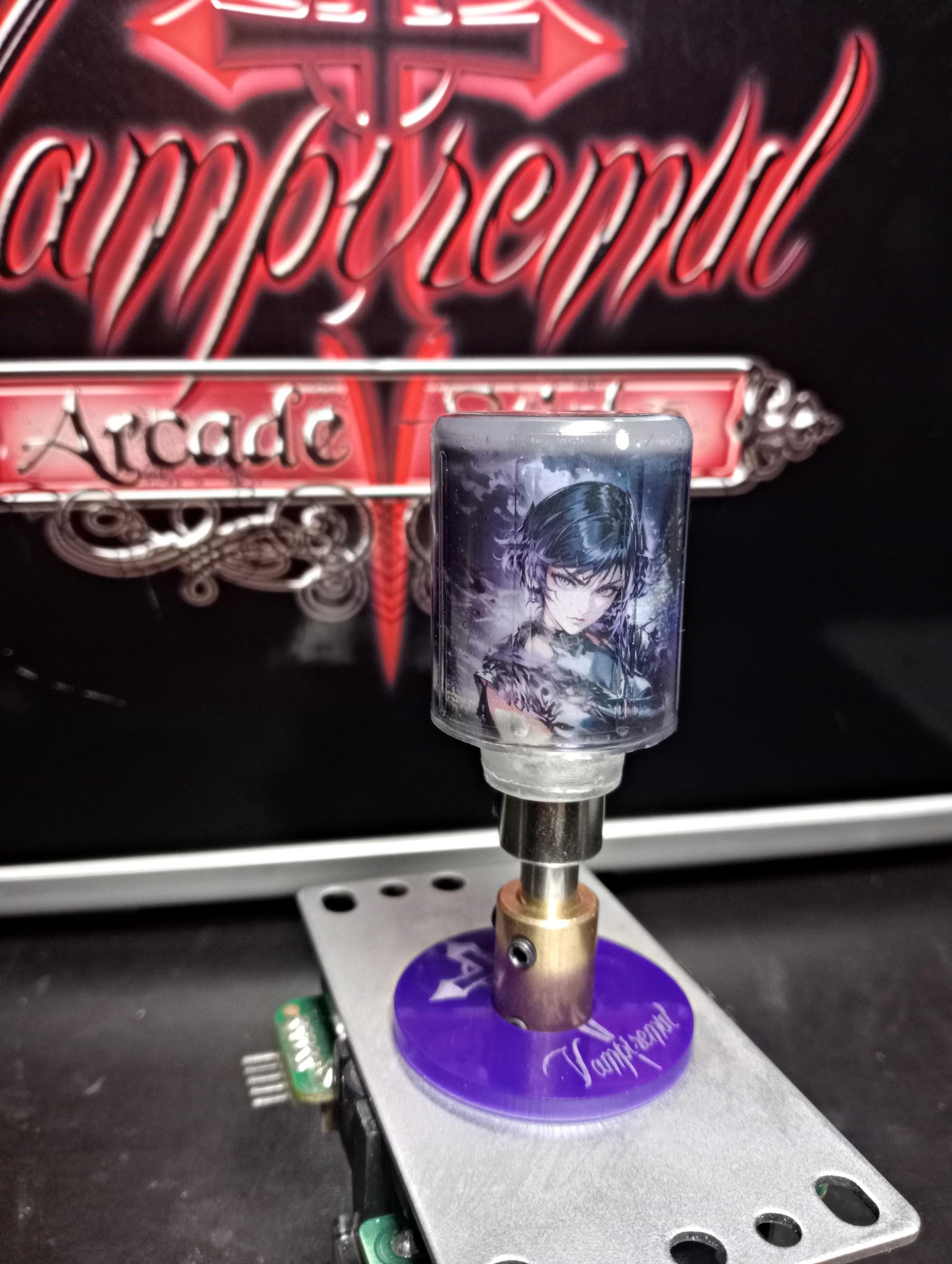 Queen of Tekken LED Kit for Joystick - Etsy