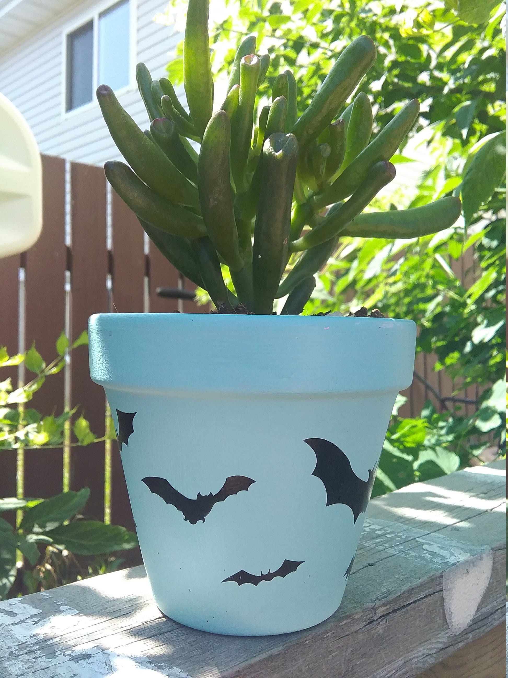 Batty Pastel Planters, Pastel Goth Planters, Batty Pastel Flower Pot ...