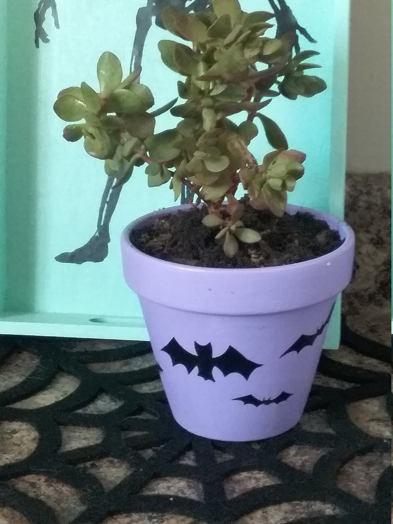 Batty Pastel Planters, Pastel Goth Planters, Batty Pastel Flower Pot ...