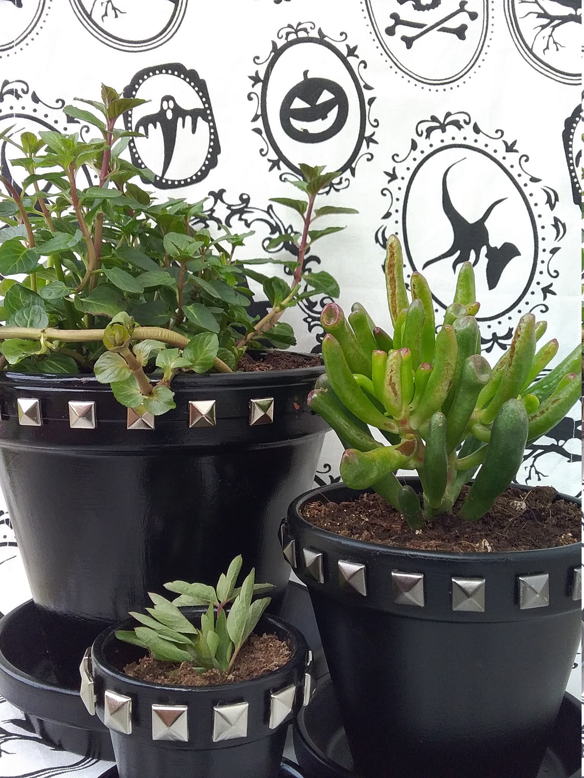 Studded Planter, Studded Pot, Studded Flower Pot, Gothic Planter ...