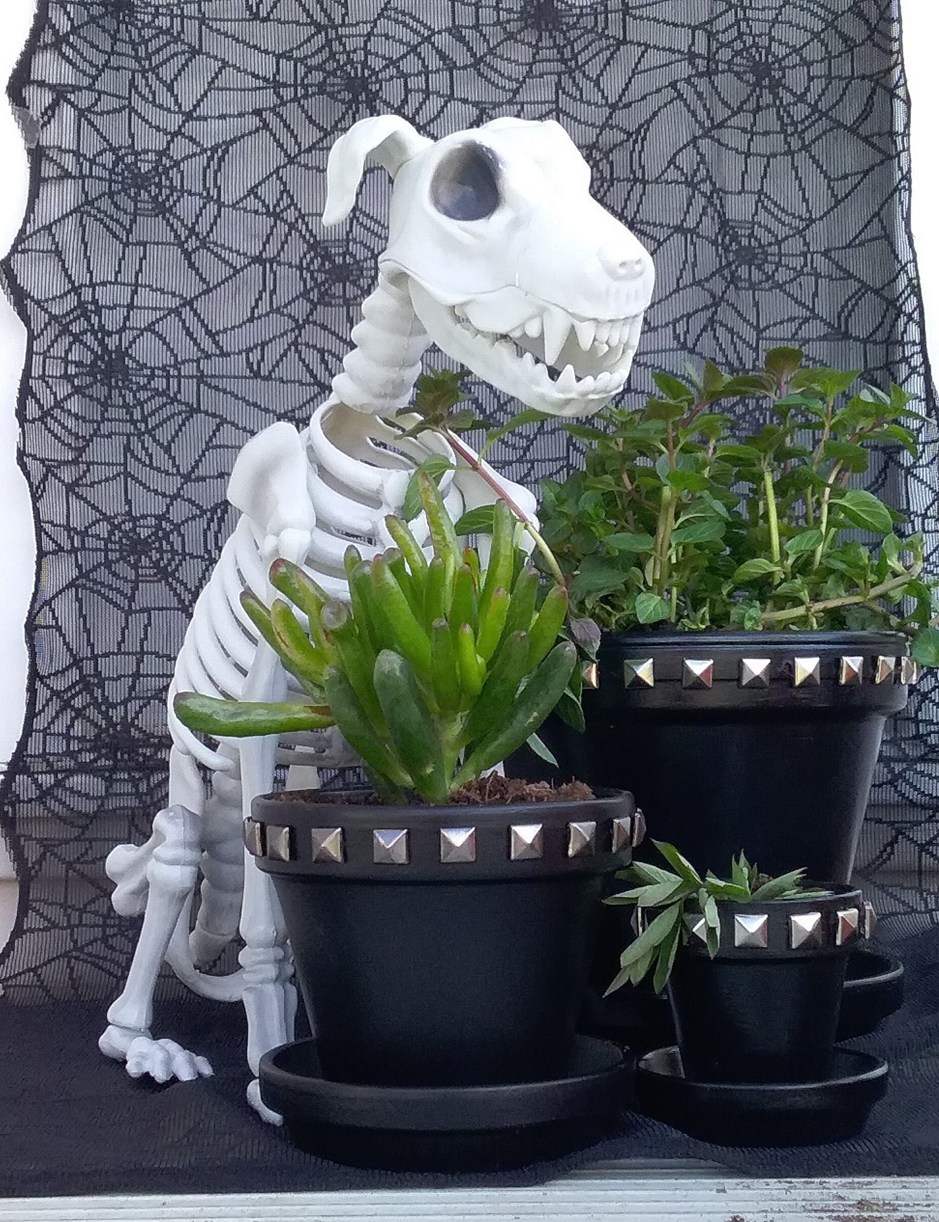 Studded Planter Studded Pot Studded Flower Pot Gothic | Etsy