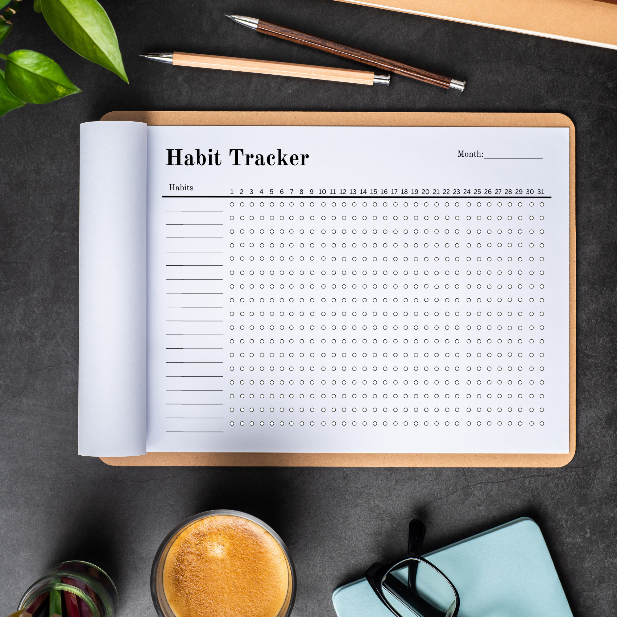 Monthly Habit Tracker Printable Landscape, Habit Tracker Template ...