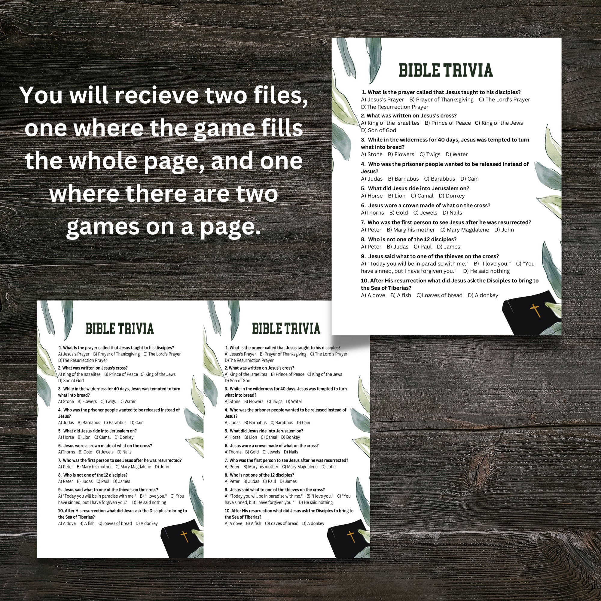 Bible Trivia, Church Party Game, Bible Game, Fun Church Game, Bible ...
