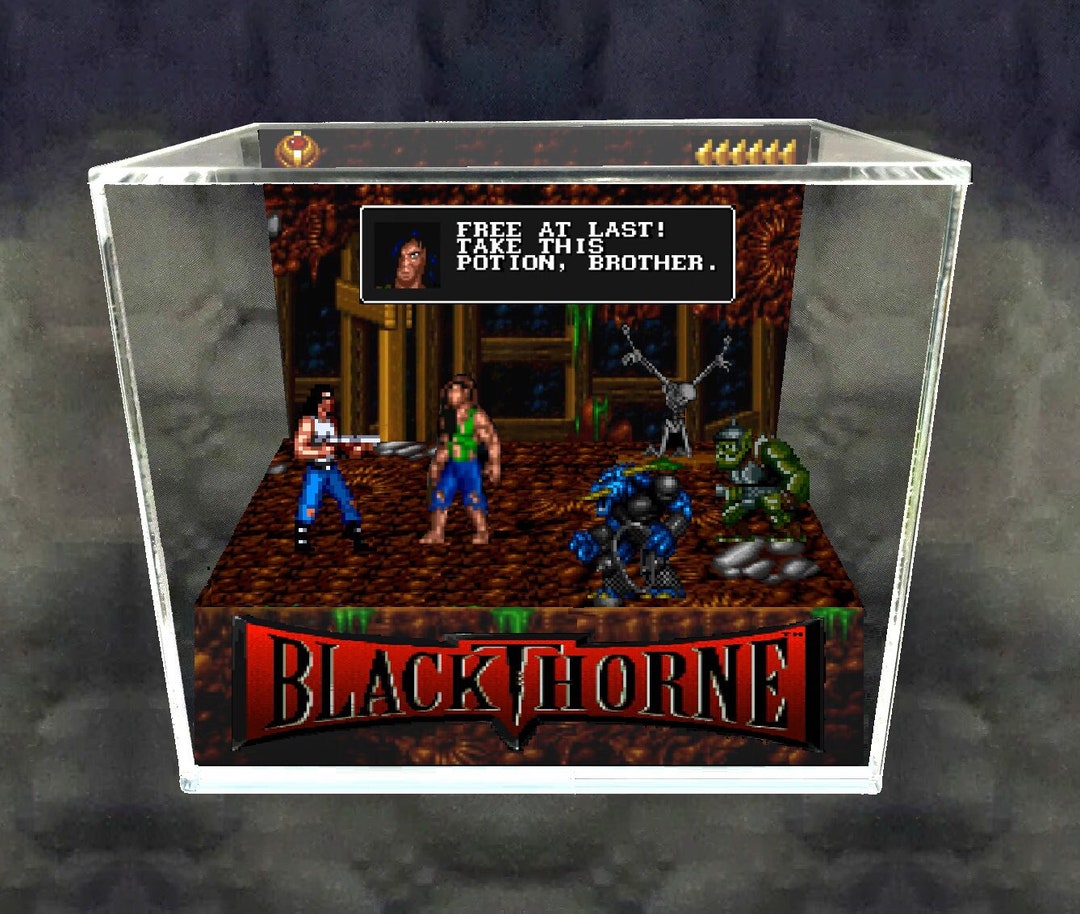 Black Thorne Diorama - 3D Videogame - Gift for Gamer - Shadow Box ...