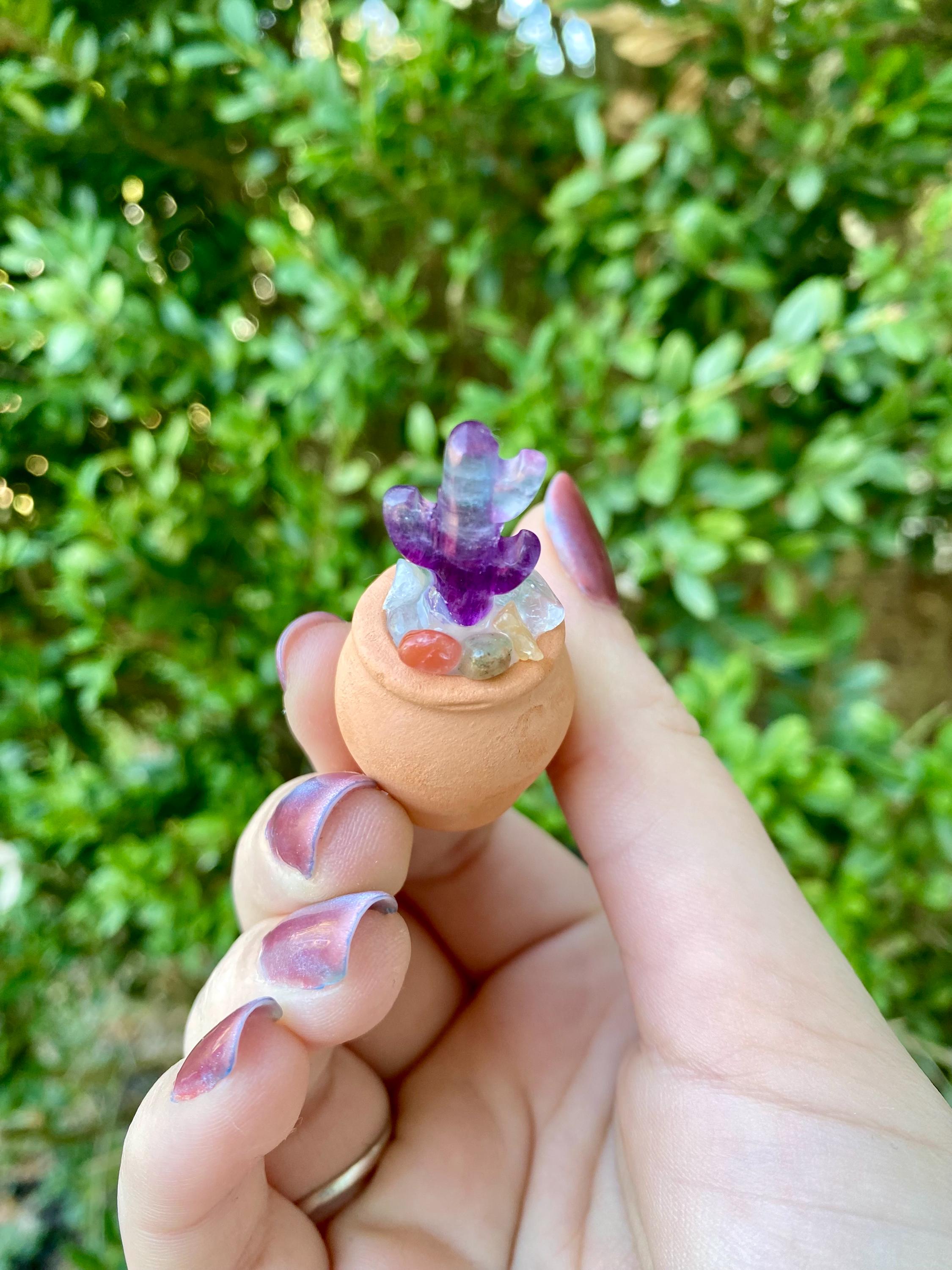 Mini Fluorite Cactus Clay Pots| Crystal Chips| Rainbow Fluorite Cactus ...