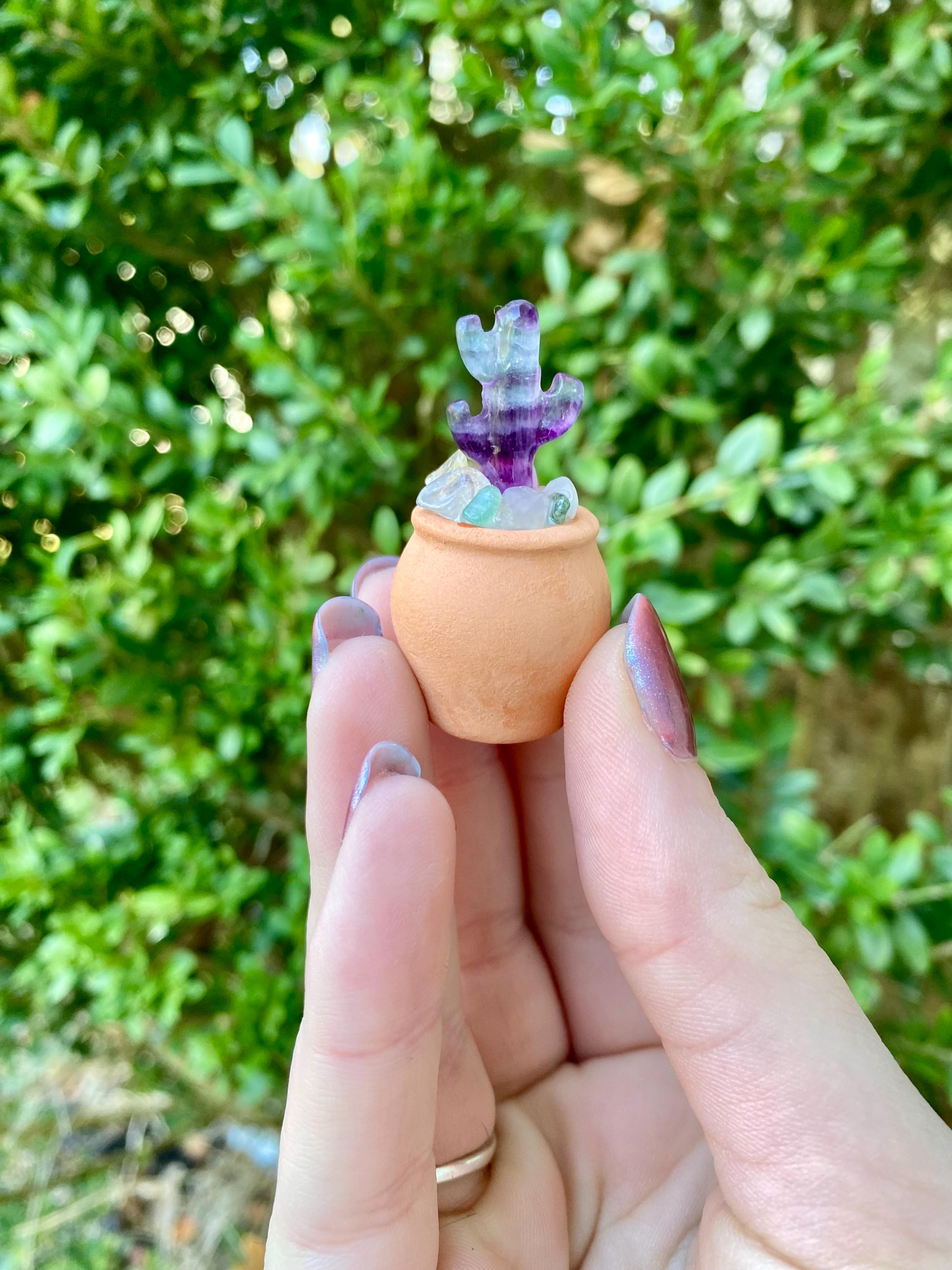 Mini Fluorite Cactus Clay Pots| Crystal Chips| Rainbow Fluorite Cactus ...