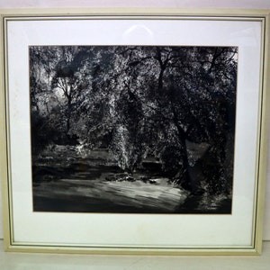 Antique Etching, Forest - Etsy