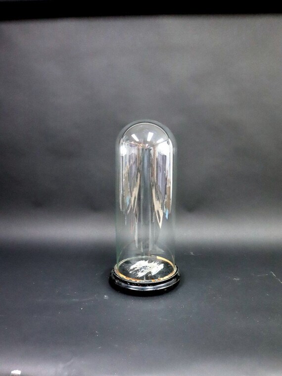 ANTIQUE GLASS Dome-handblown Glass Dome-victorian - Etsy