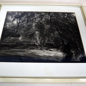 Antique Etching, Forest - Etsy