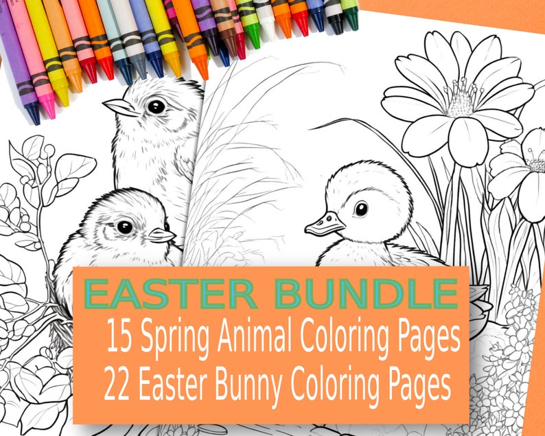 Cute Easter Animal Coloring Pages – 37 Page Bundle (digital Download ...