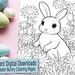 22 Printable Easter Bunny Coloring Pages for Kids - Etsy