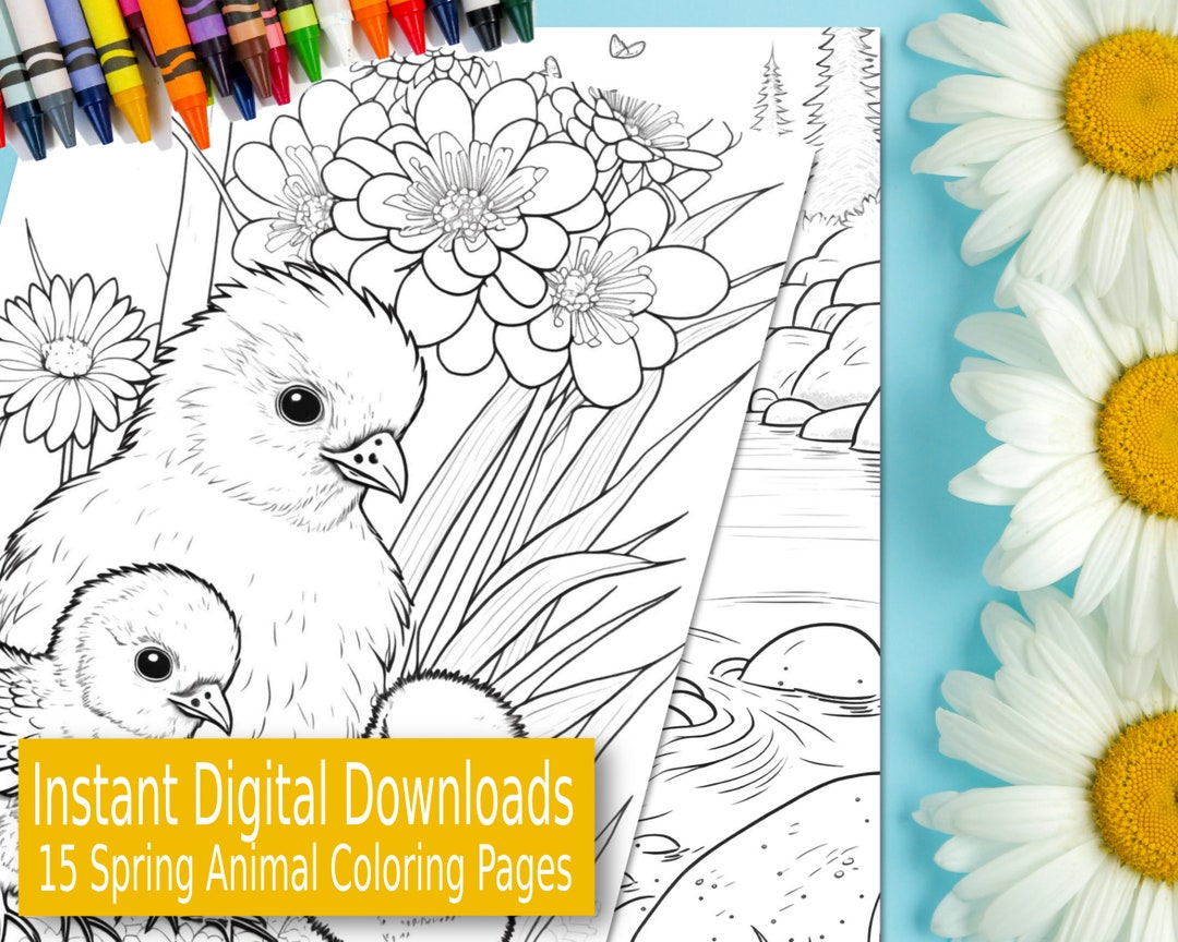 15 Spring-time Animal Coloring Pages for Kids - Etsy