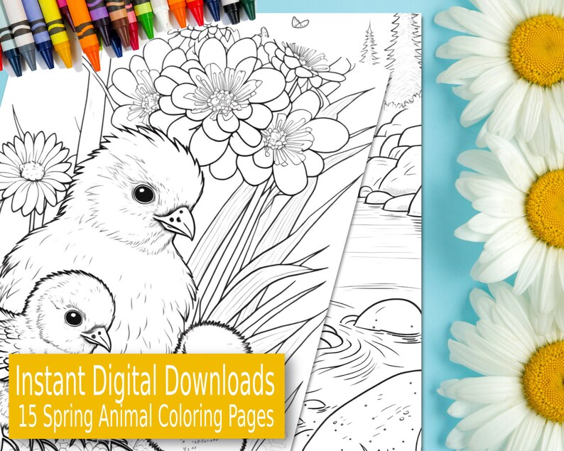 15 Spring-time Animal Coloring Pages for Kids - Etsy