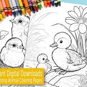 15 Spring-time Animal Coloring Pages for Kids - Etsy