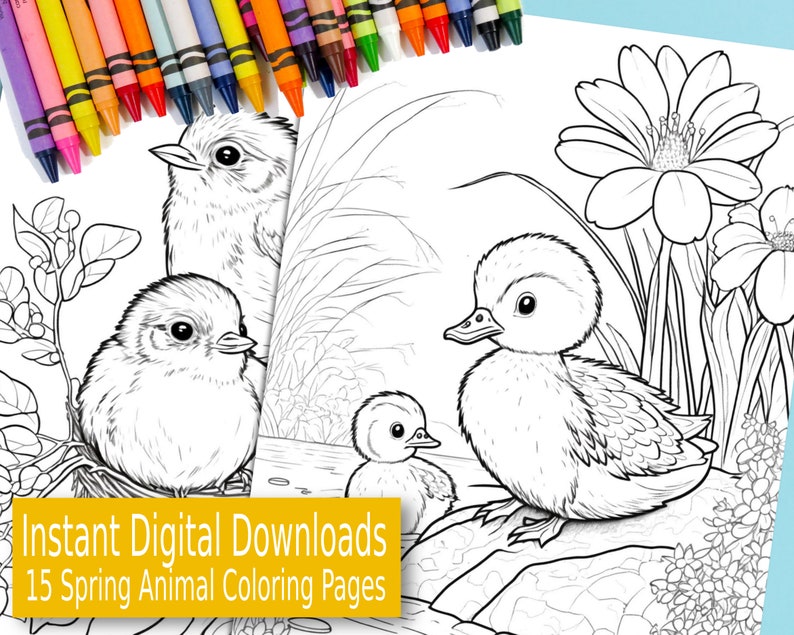 15 Spring-time Animal Coloring Pages for Kids - Etsy