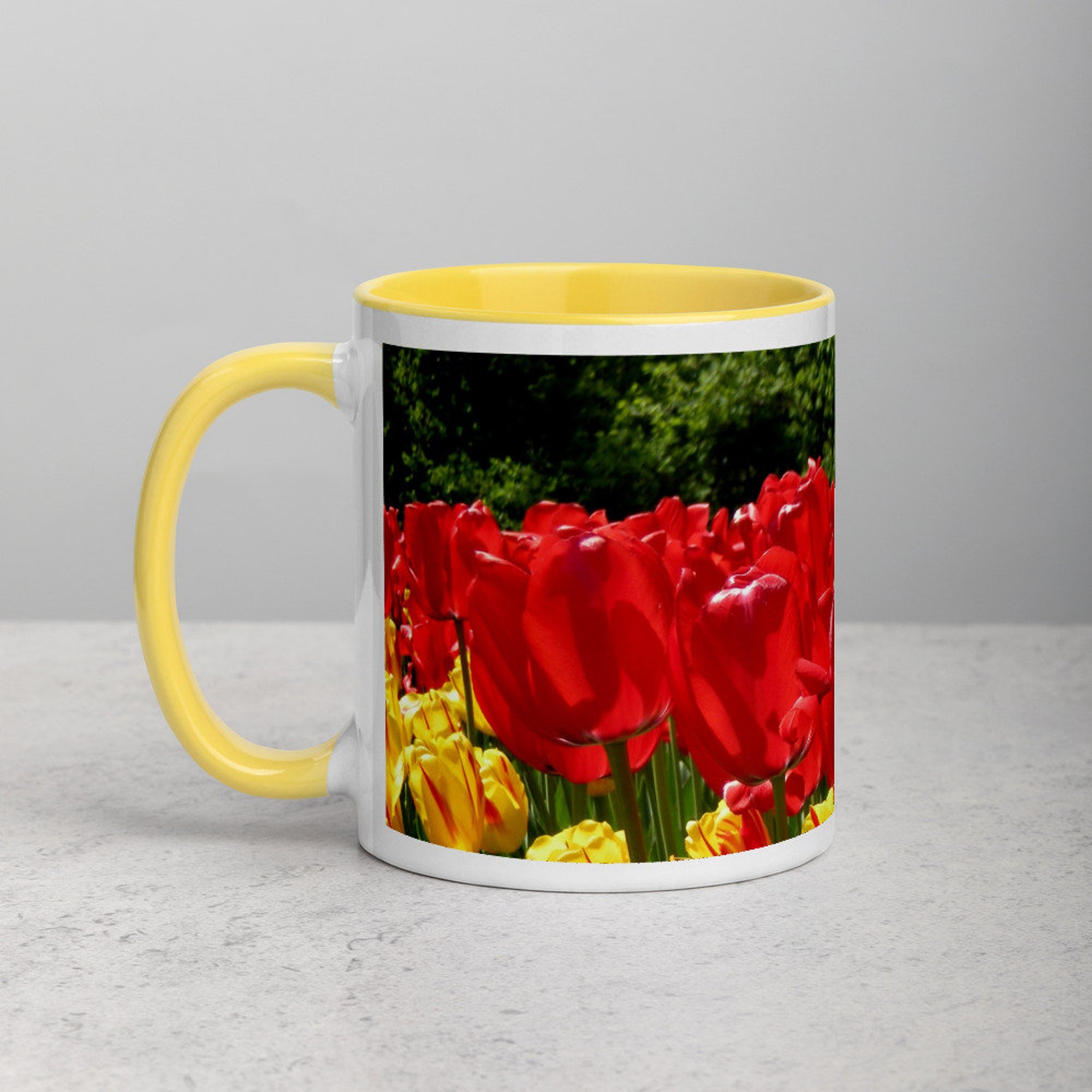 Spring Mug With Color Inside Tulips Morning Coffee Mug - Etsy