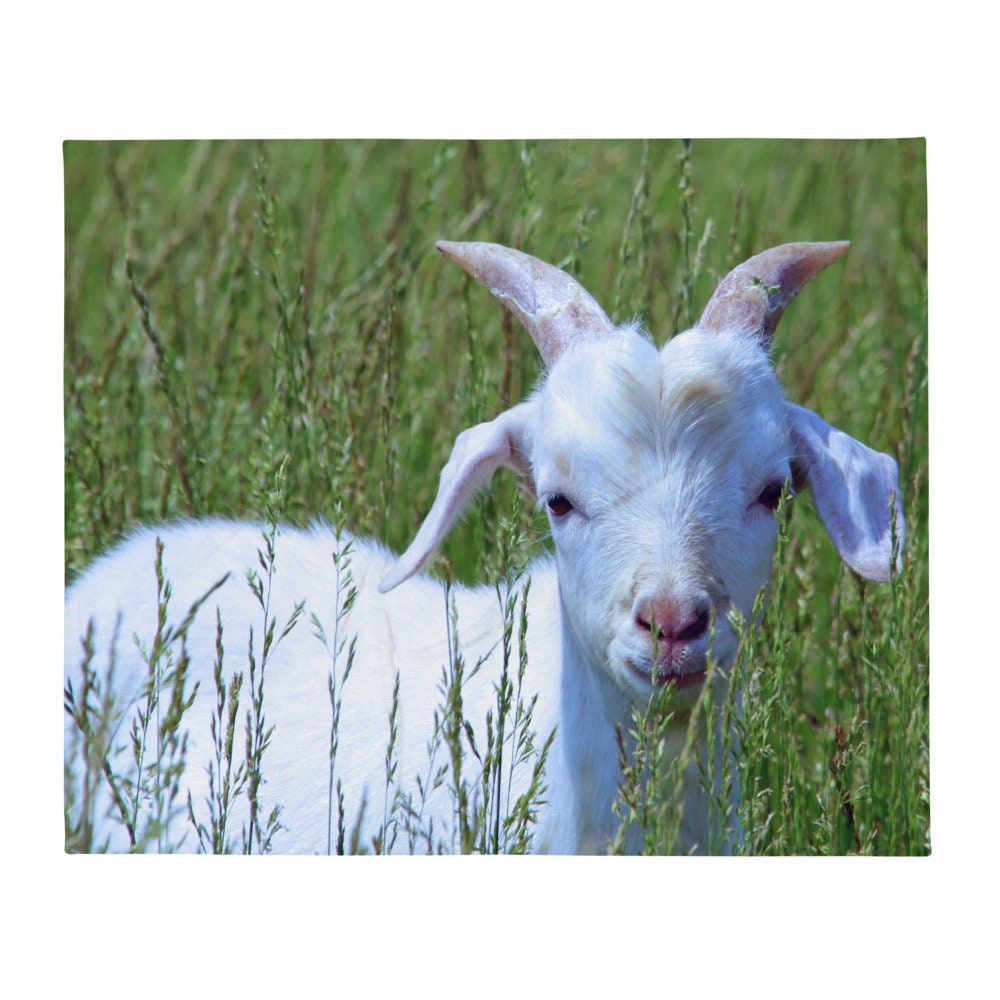 Goat Blanket Accent Blanket - Etsy