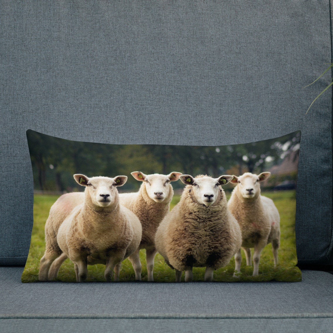 Sheep Pillow Farmhouse Decor | Etsy