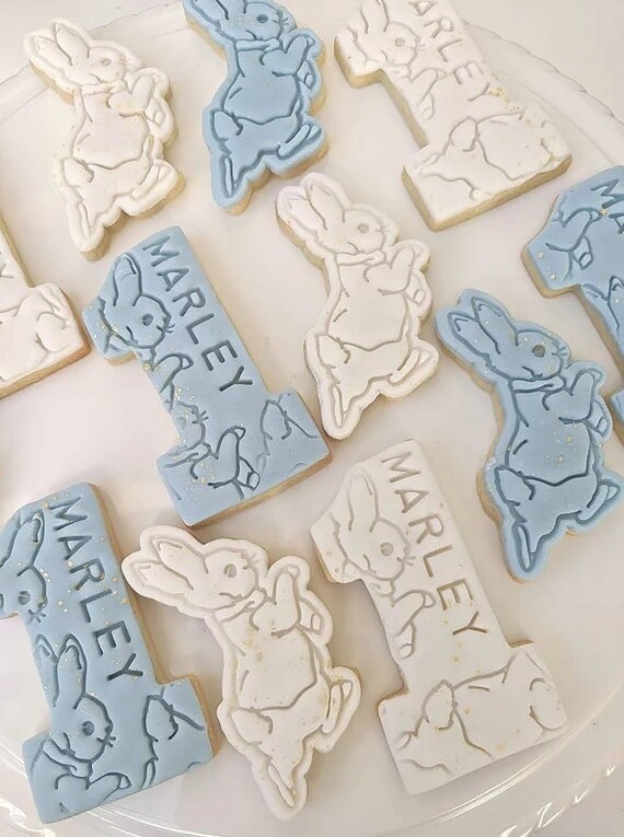 Peter Rabbit Cookies - Etsy UK