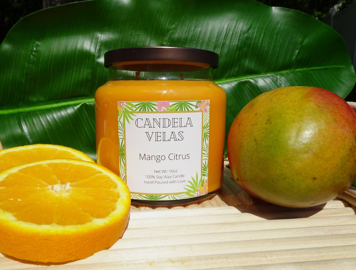 Mango Citrus Scented Candle Soy Candle Hand Made Candle - Etsy UK