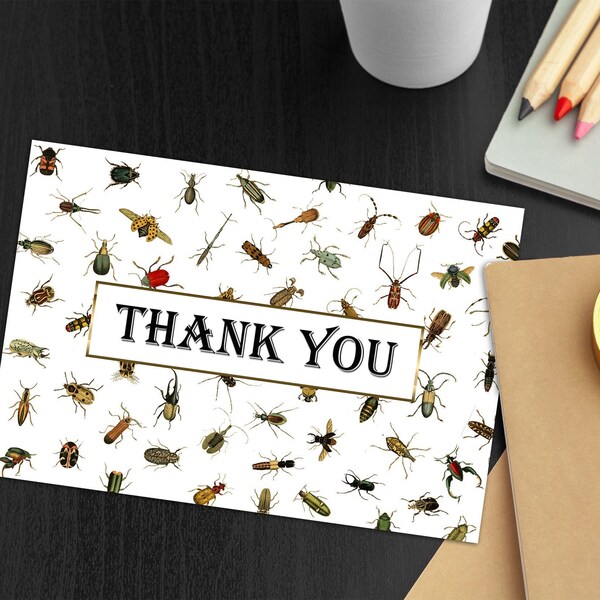 Insect Stationery - Etsy