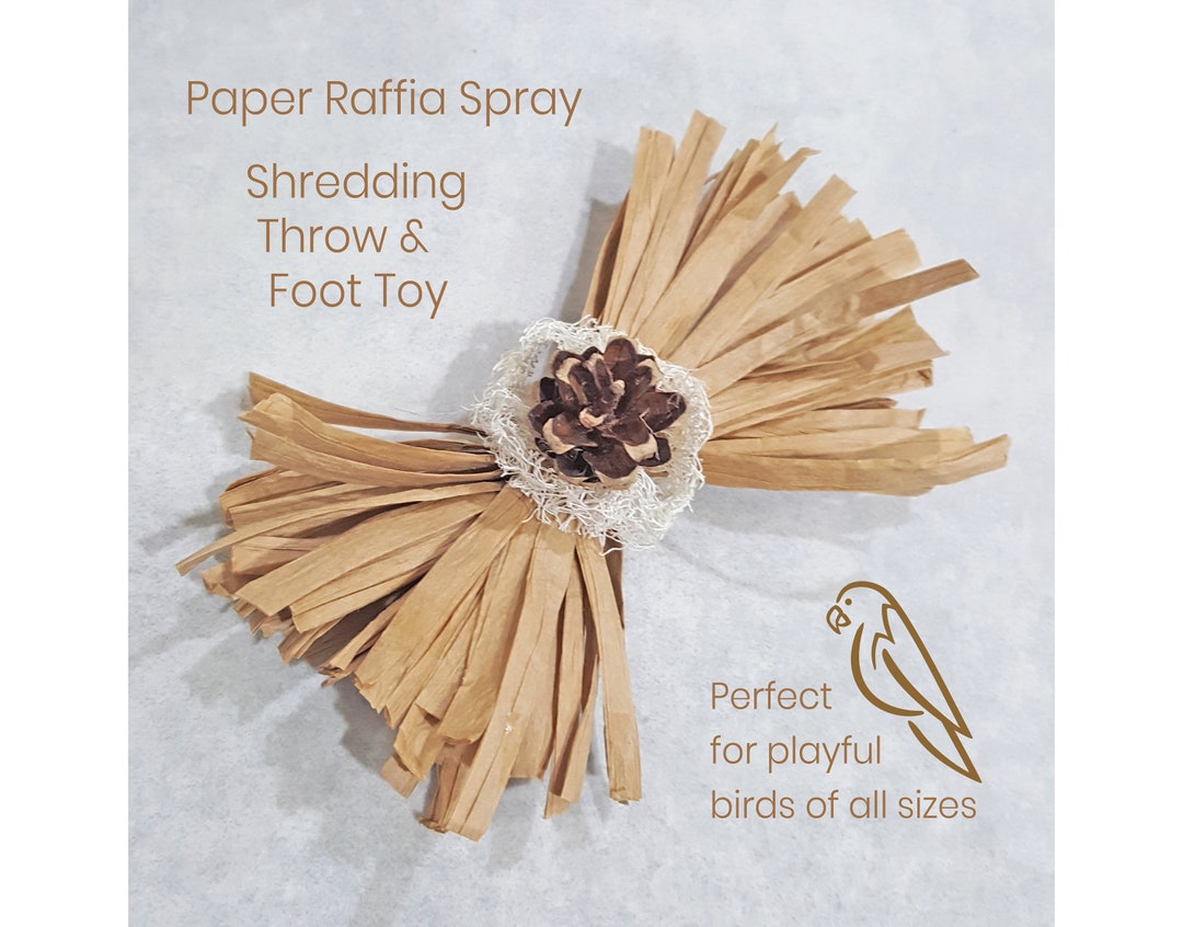 Paper Raffia Spray - Safe Foot Throw Shredding Toy for Parrots ...