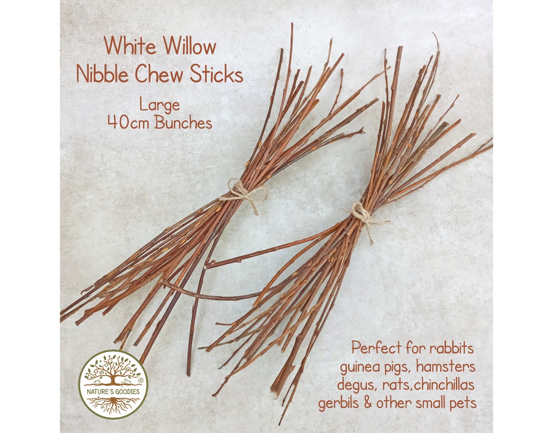 Large 40cm White Willow Bunch of Nibble Sticks Chew Toy for Rabbits ...