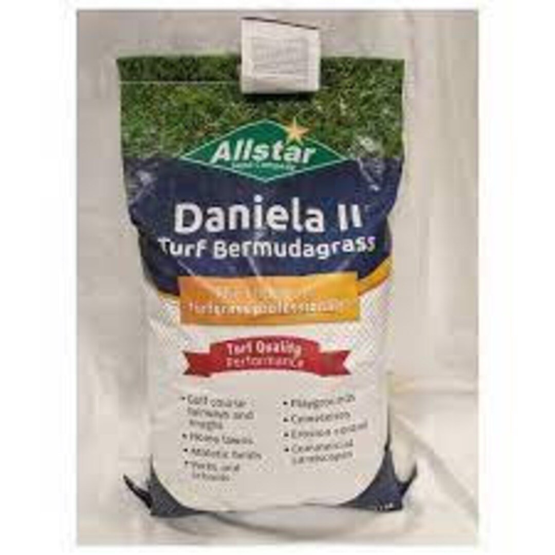 Daniela II Turf Bermuda Grass Seed - Etsy
